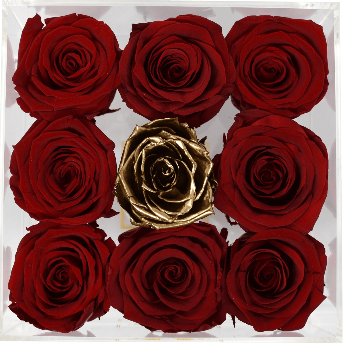 The One – Flower Stern