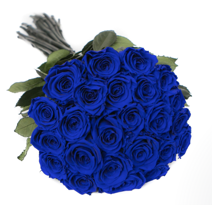 Stern Vase Ready Long Stem – Flower Stern